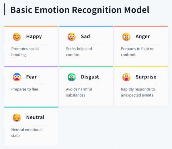 Basic Emotion Recognition Model - MinsightAI